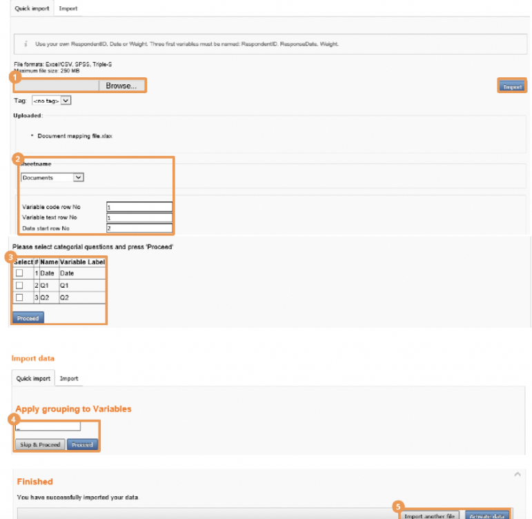 How to Do a Quick Import with an Excel File? – Forsta Visualizations